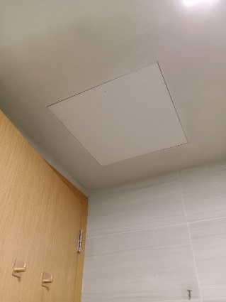 Ceiling Work